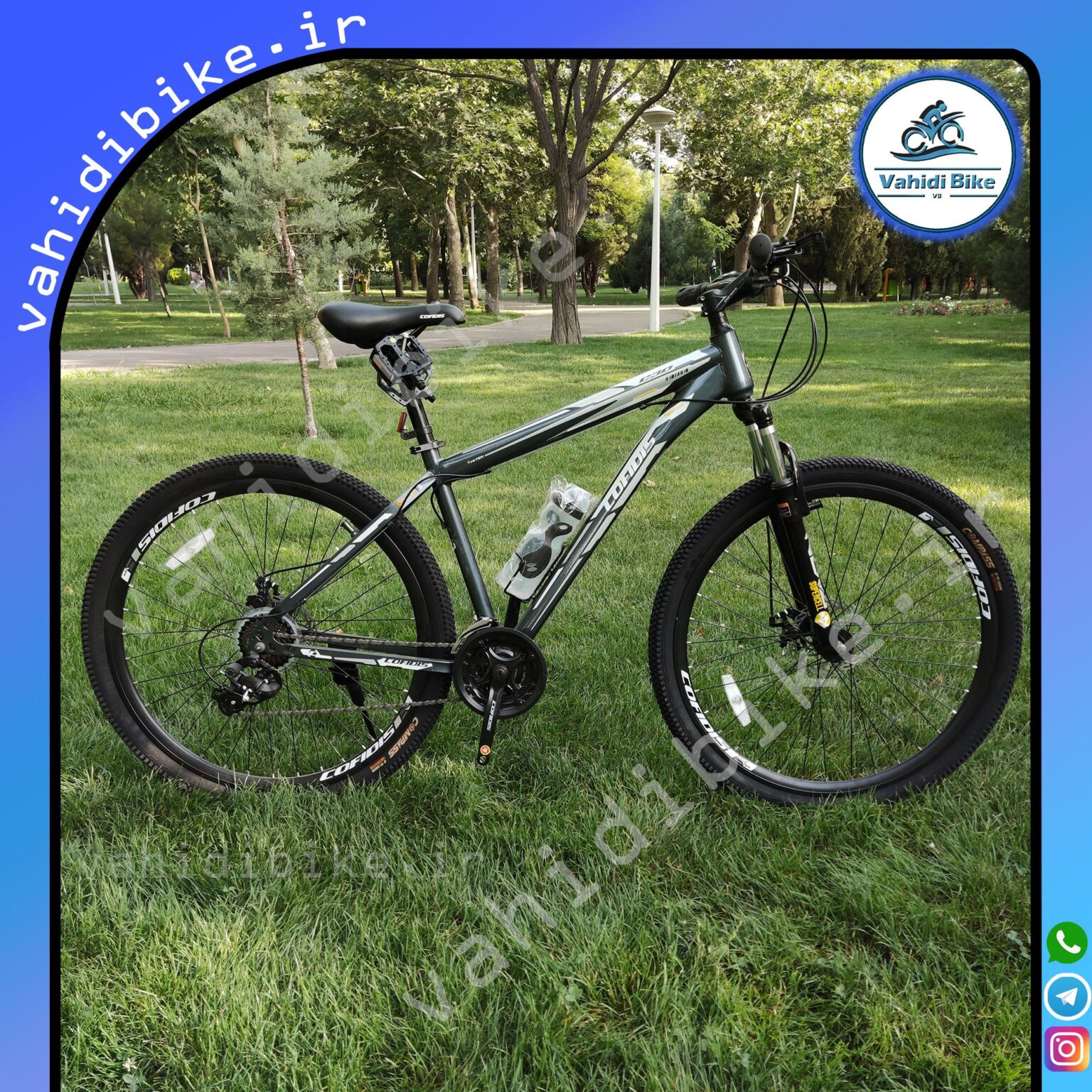 دوچرخه 29 کافیدیس مدل C30 دیسکی دوچرخه وحیدی